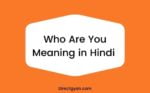 Who are you in hindi meaning | हू आर यू का हिंदी अर्थ क्या होता है?